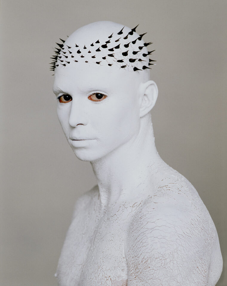 DAVID - Dina Goldstein